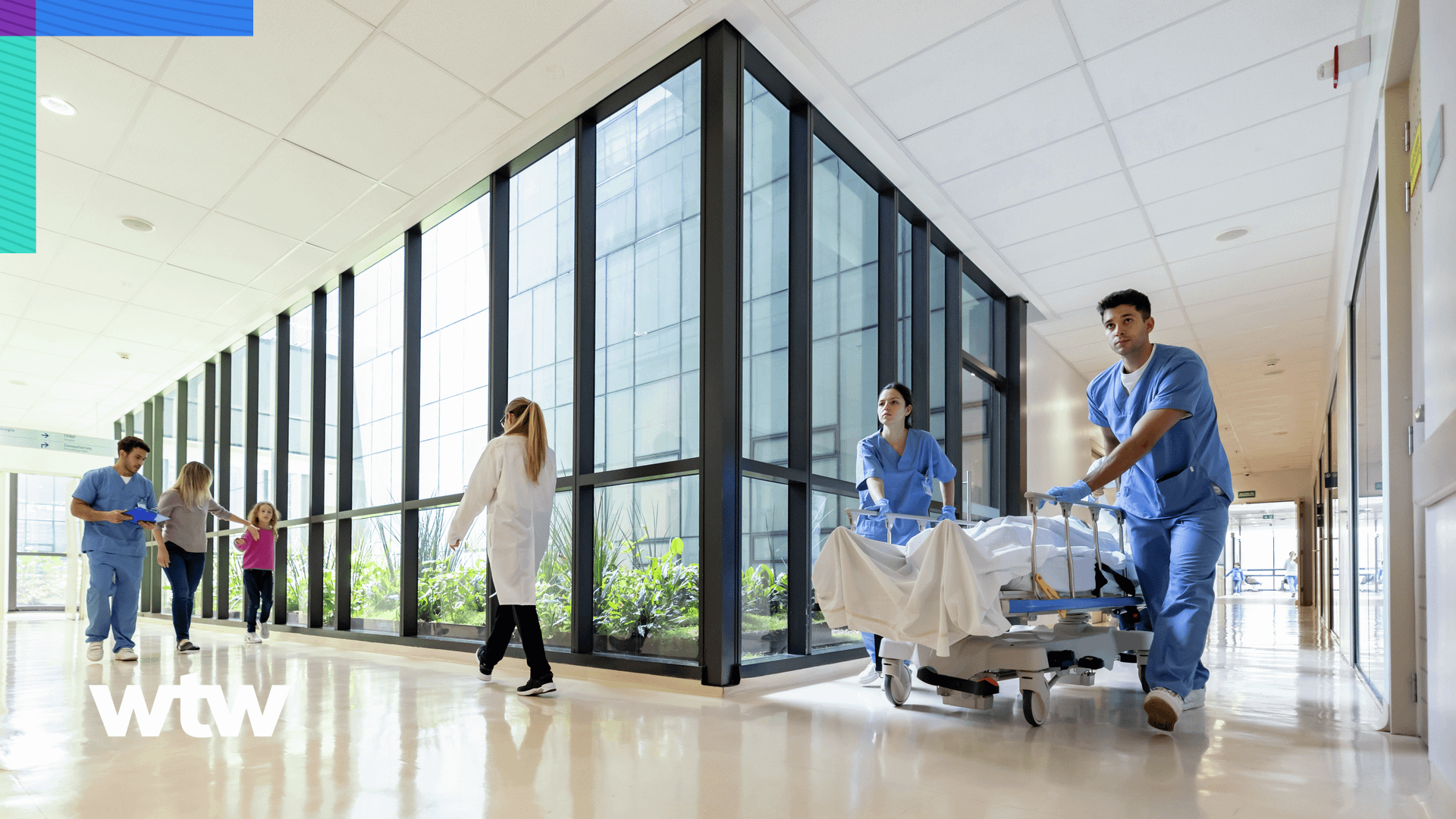 Functional movement for safe patient handling - WTW