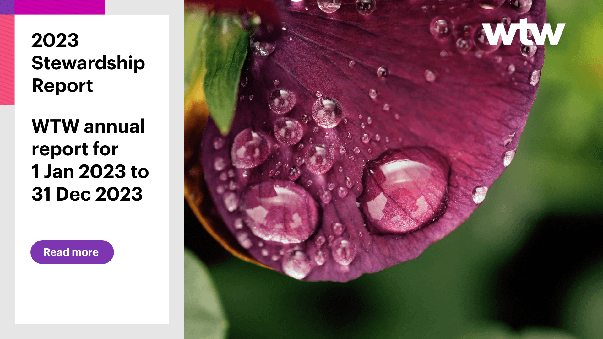 2023 Stewardship Report - WTW