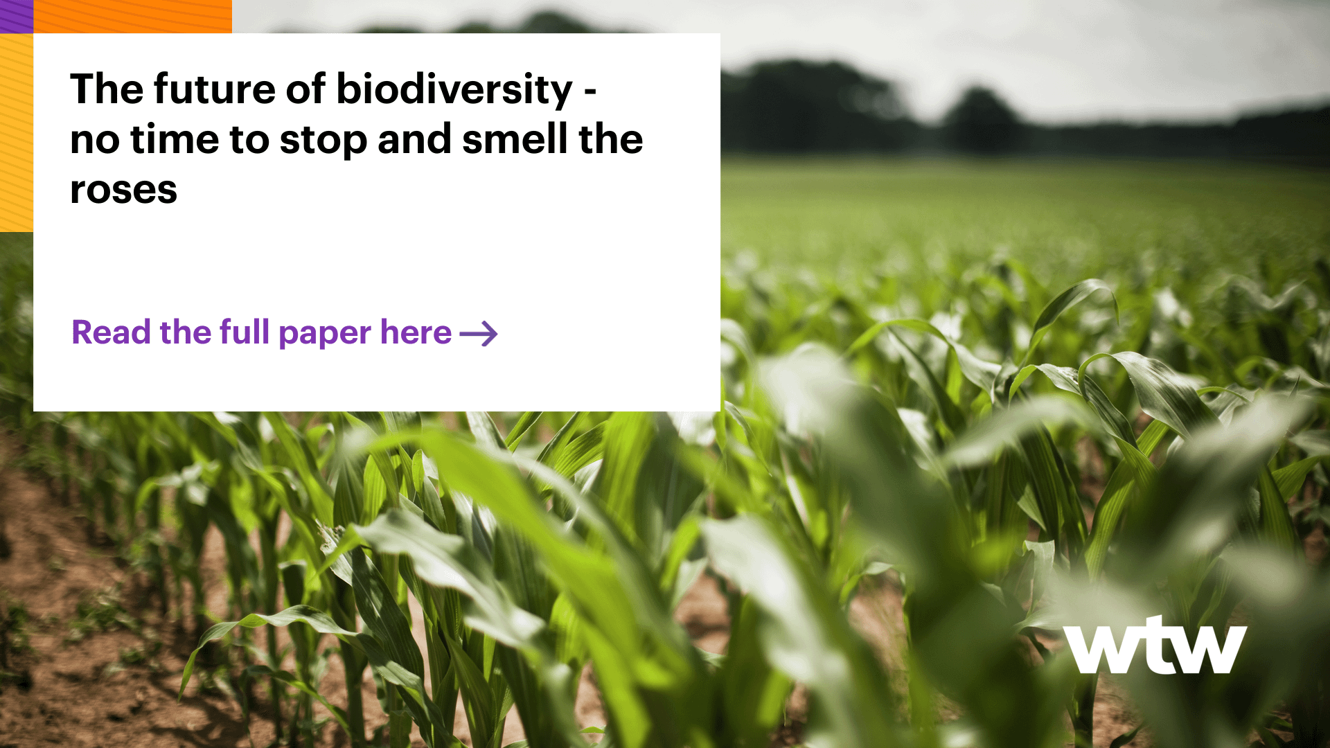 The future of biodiversity – no time to stop and smell the roses - WTW