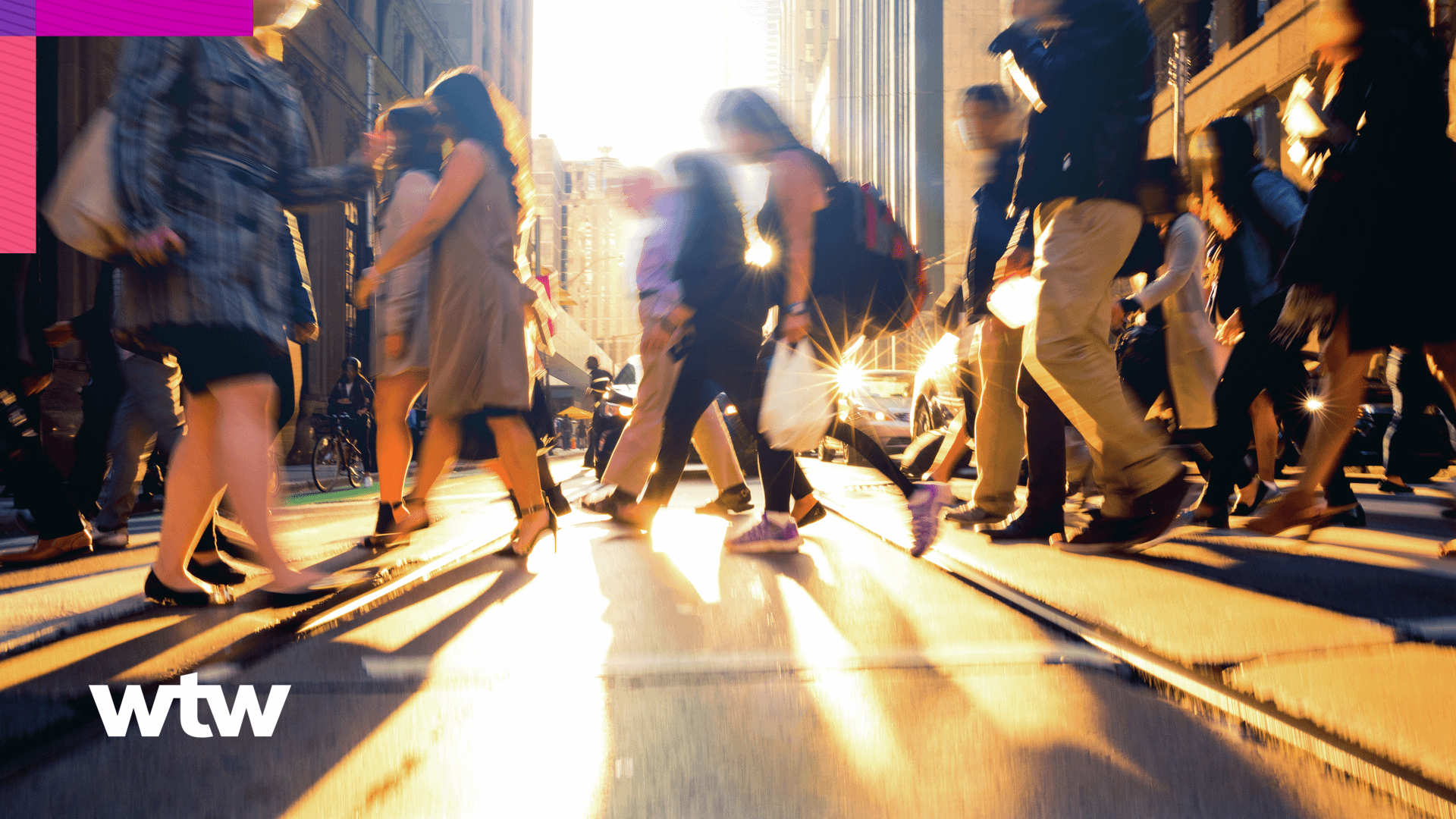 WTW Investments Team - WTW