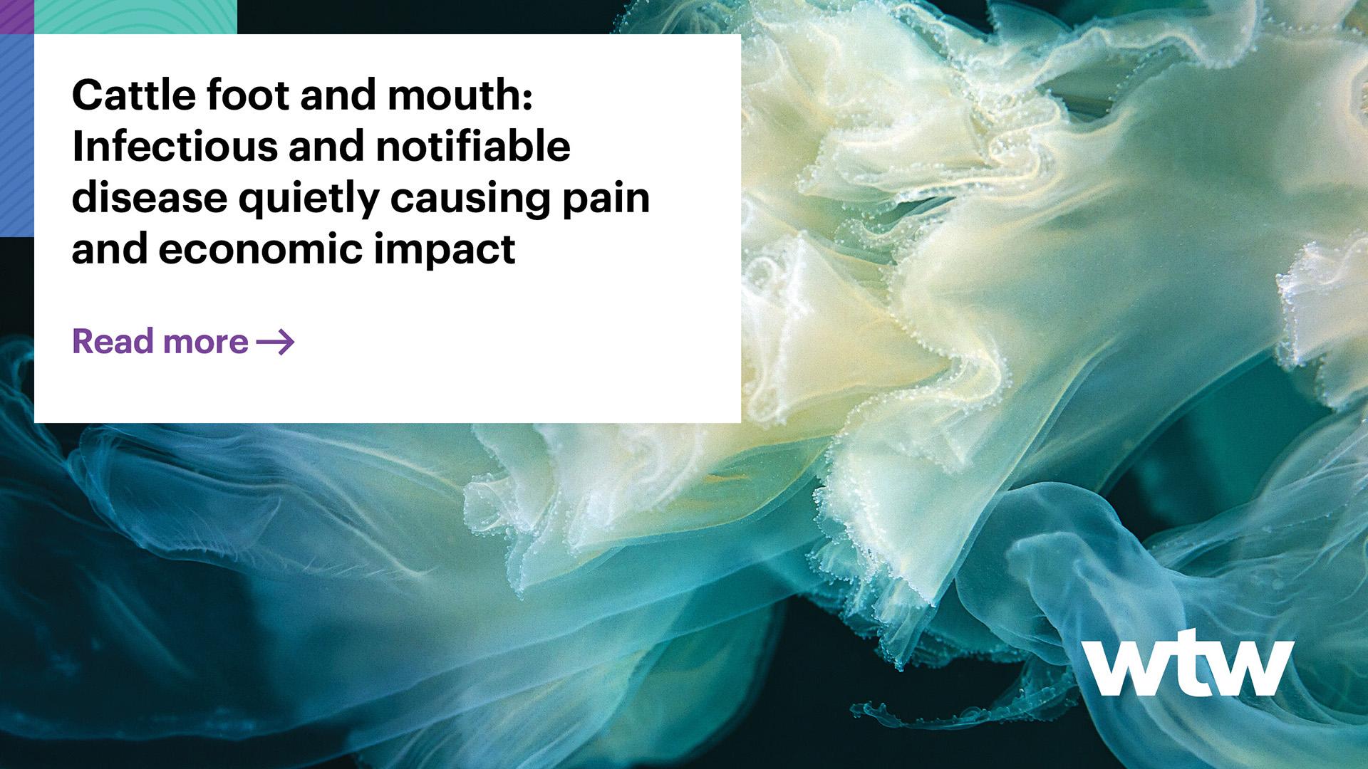 Management Of Foot And Mouth Disease In Cattle at Elijah Brand blog