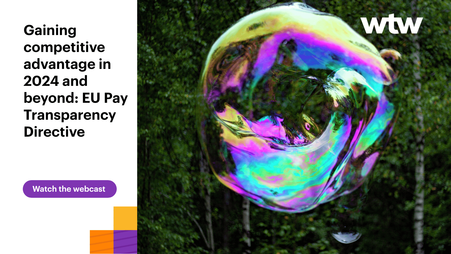 Gaining a competitive advantage in 2024 and beyond: EU Pay Transparency ...