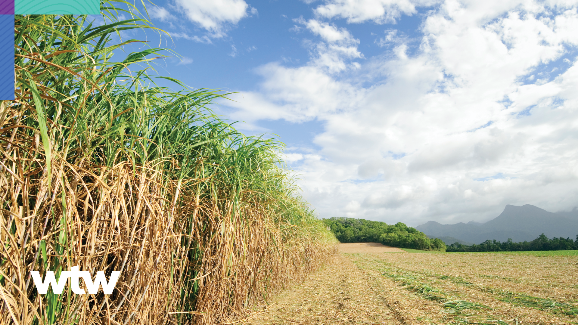 Nitrogen Risk Insurance - WTW