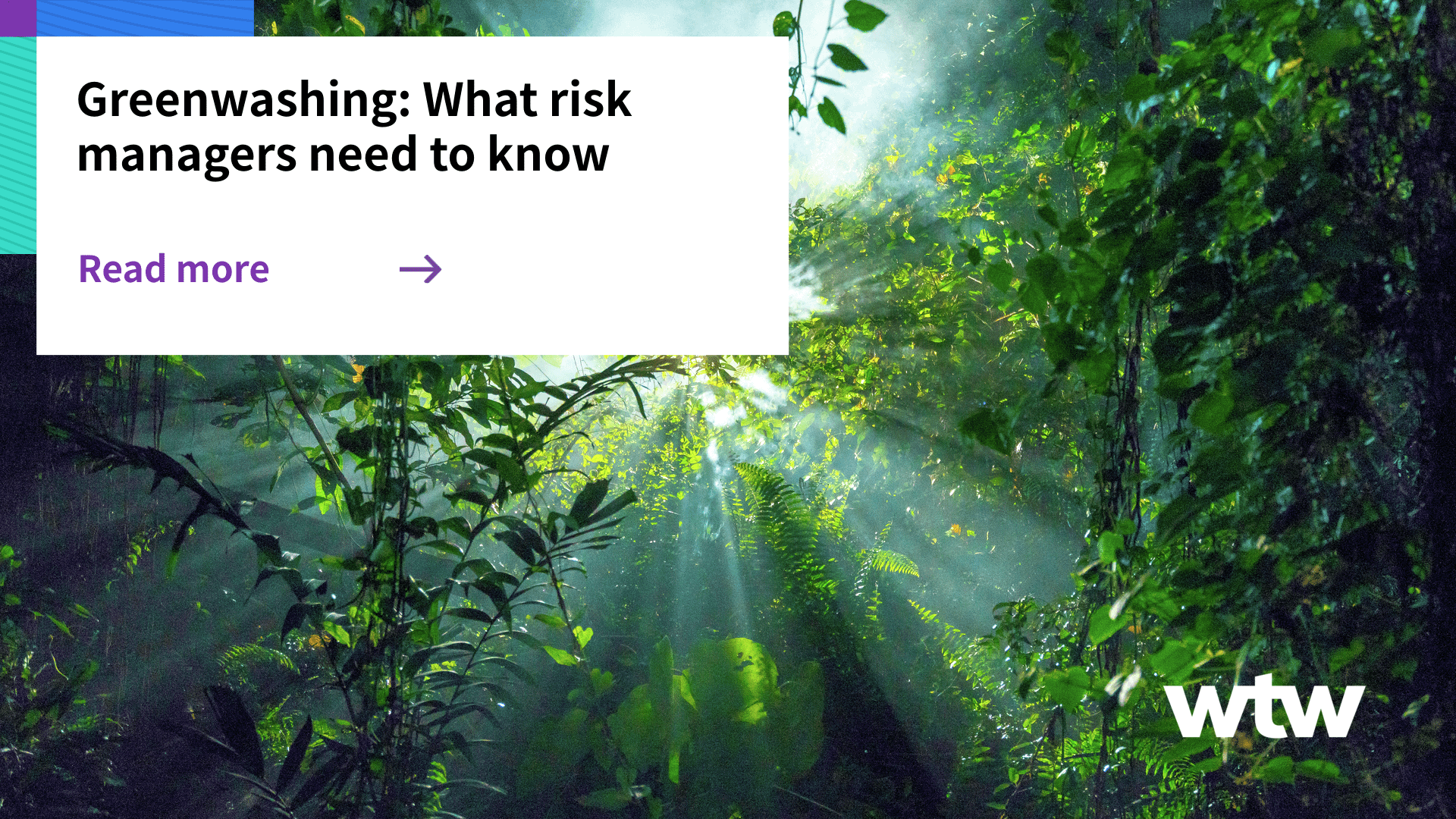 Greenwashing: What risk managers need to know - WTW