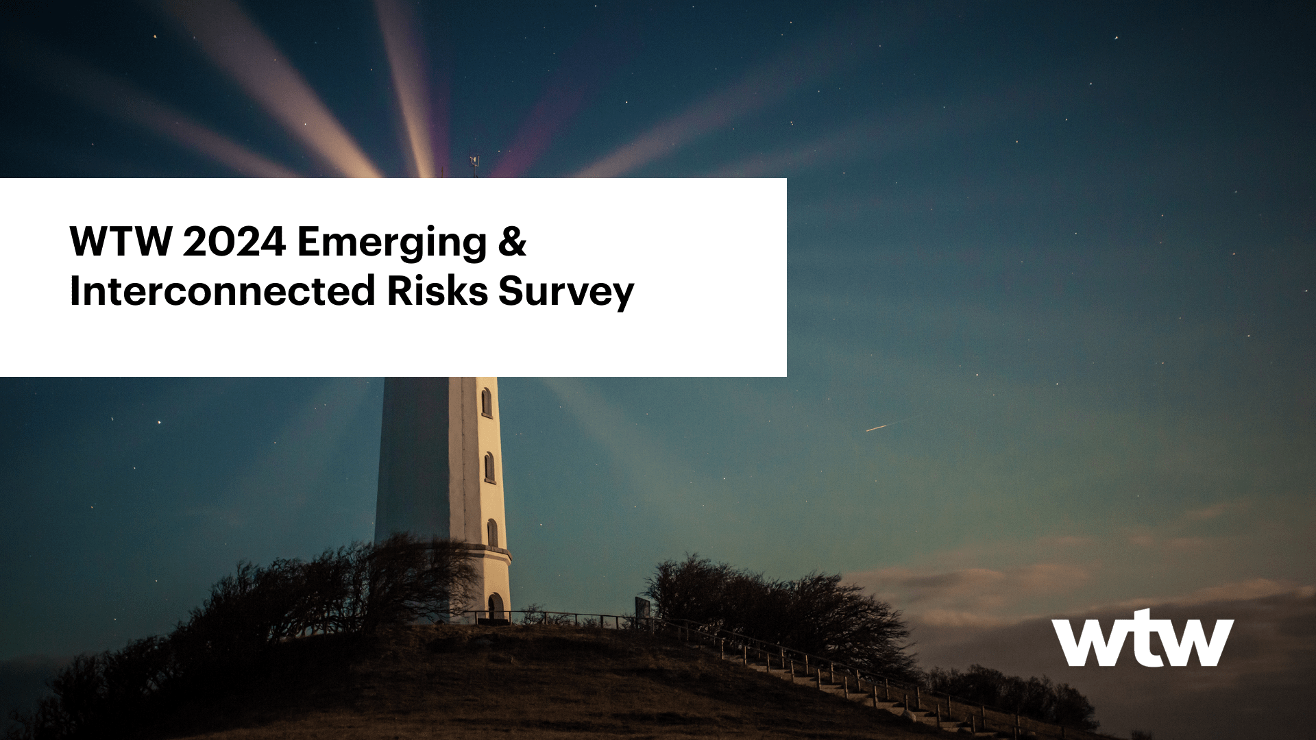 Emerging and Interconnected Risks Survey 2024 - WTW