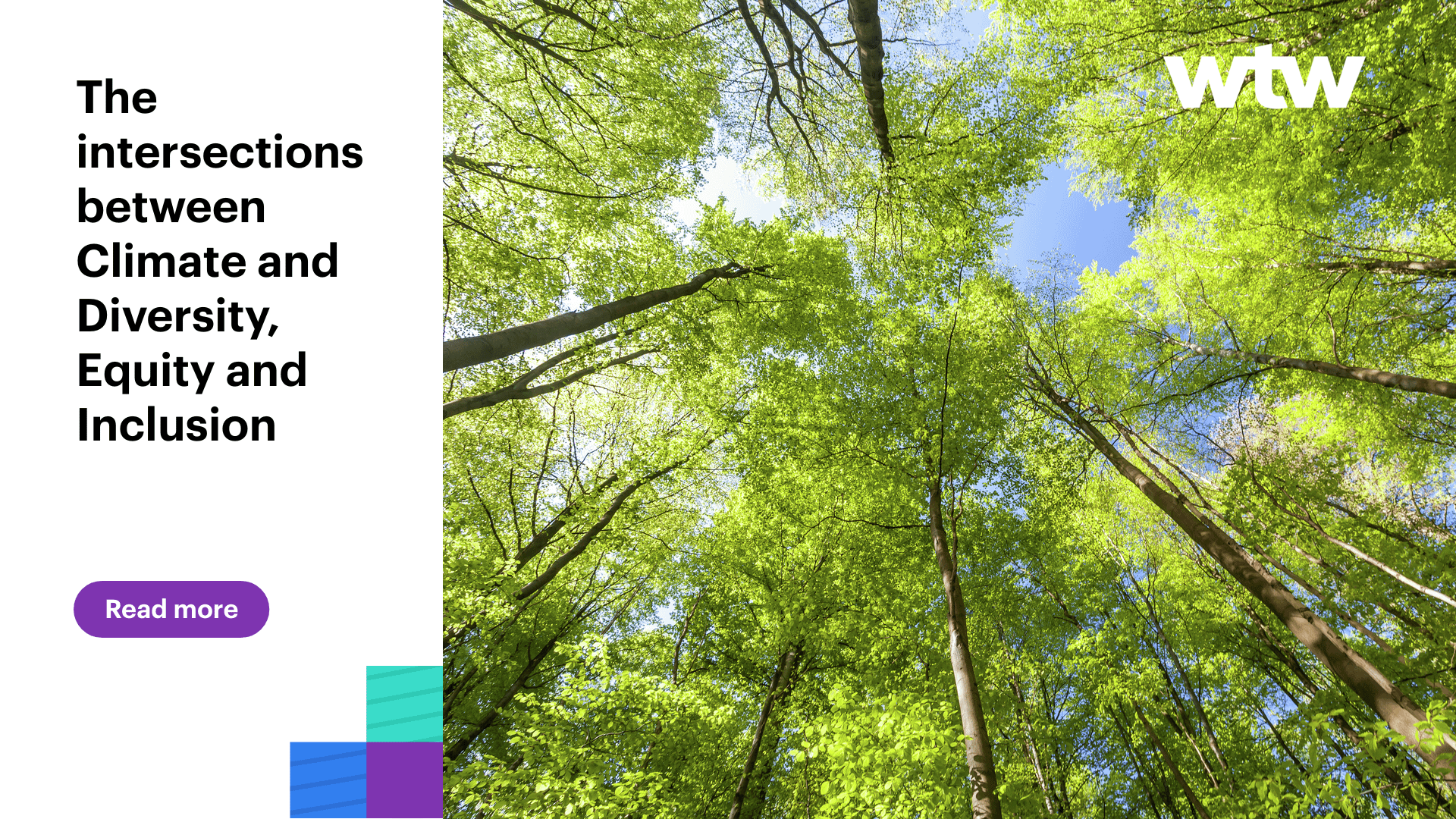 The intersections between Climate and Diversity, Equity and Inclusion - WTW