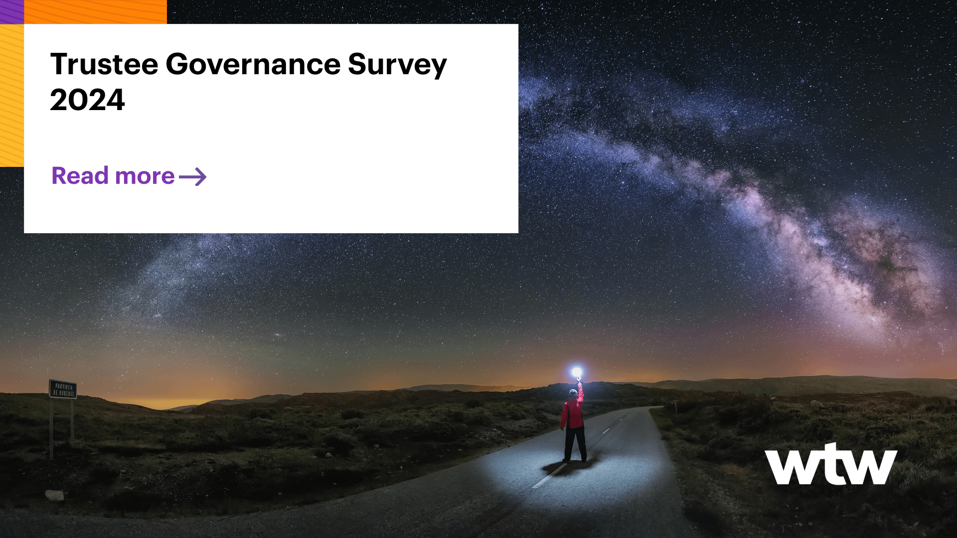 Trustee Governance Survey 2024 - WTW