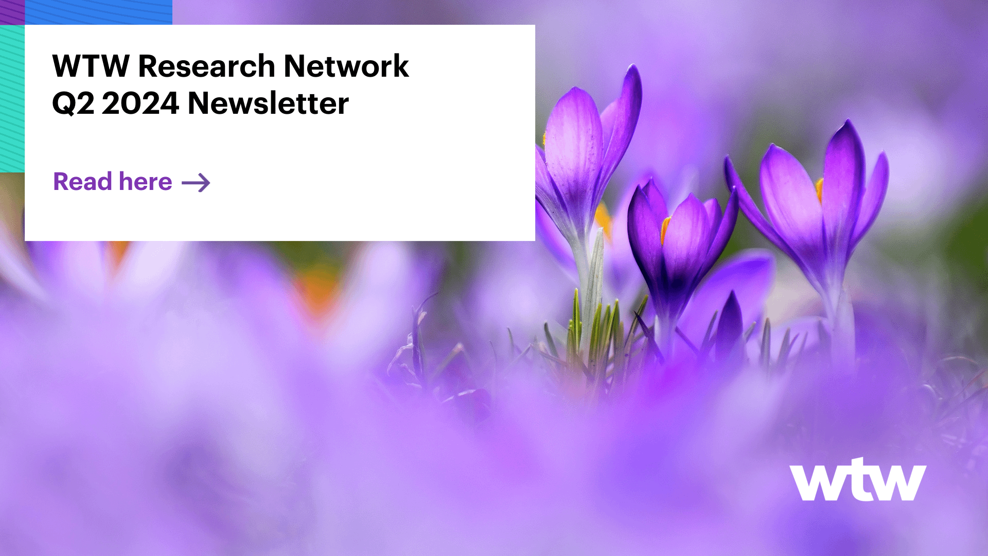 WTW Research Network Q2 2024 Newsletter - WTW