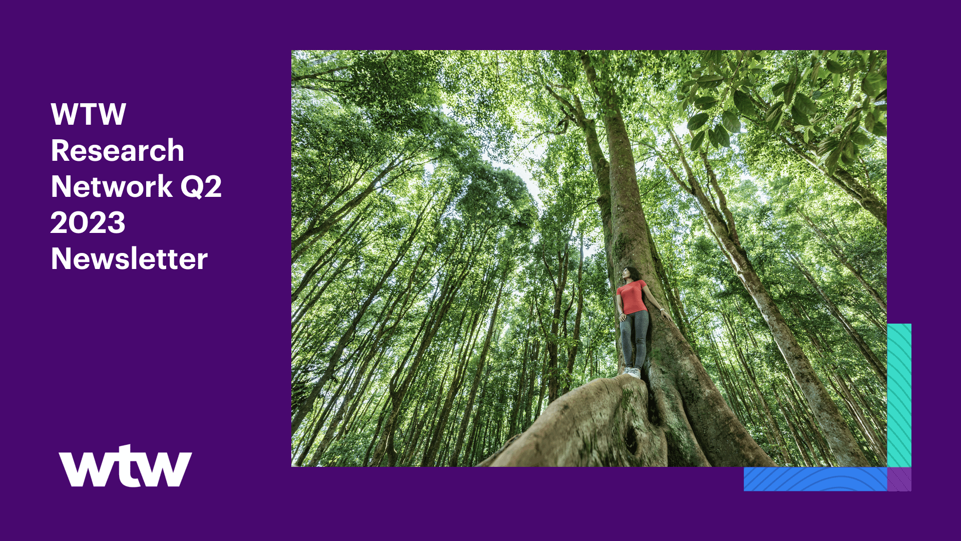 Providing pay clarity and visibility - WTW