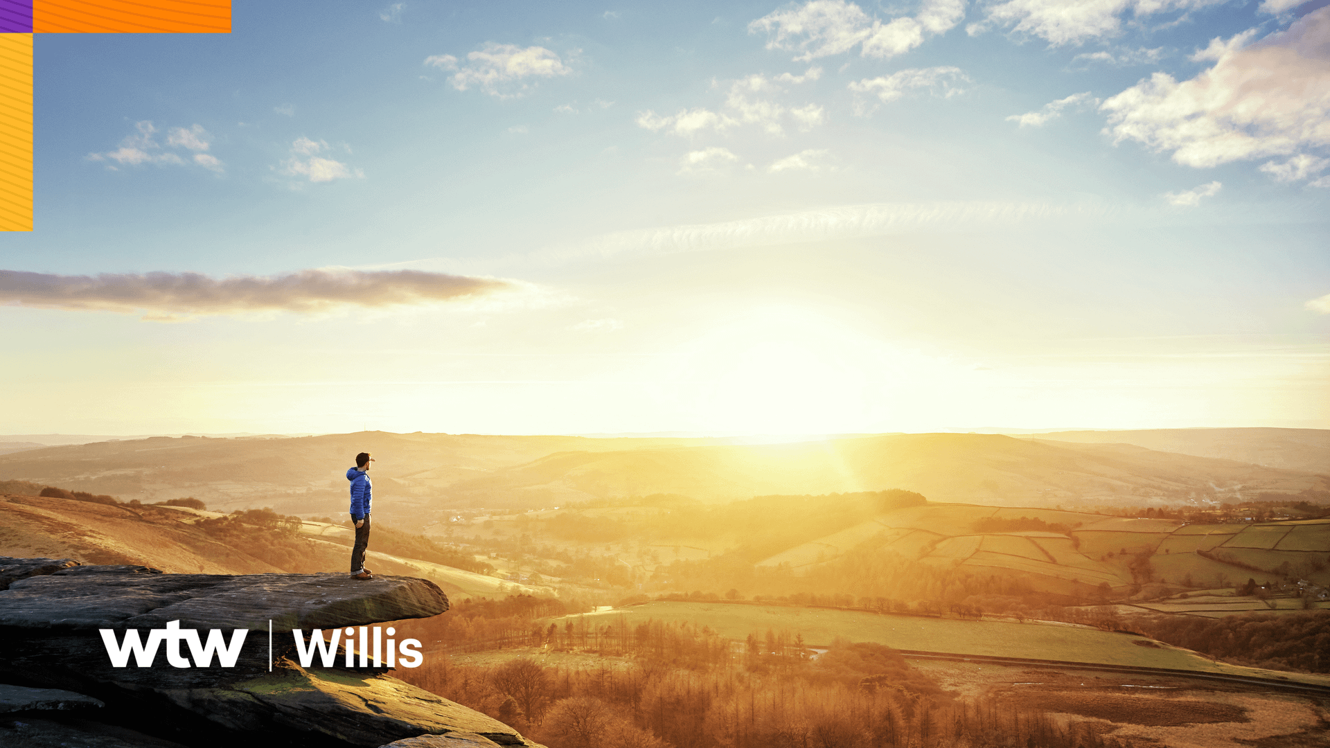 Global Reputational Risk Readiness Survey 2024/25 - WTW