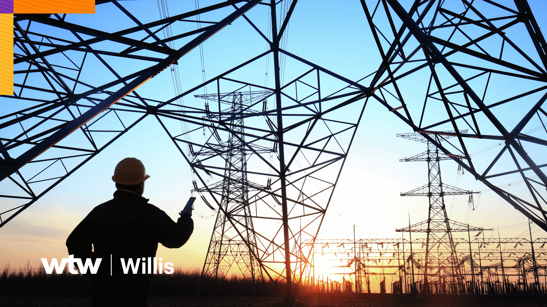 The buzz of electrification: why renewable energy networks need to grow ...