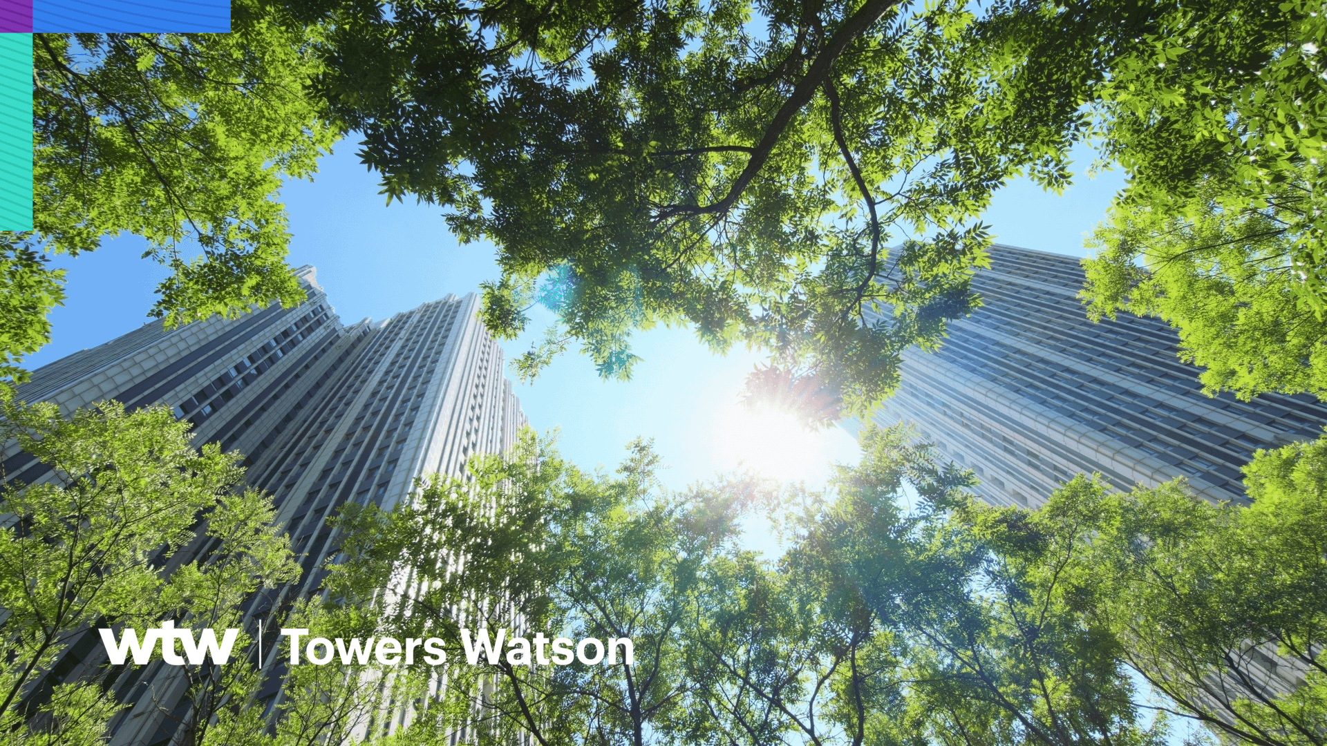 European Board Stewardship Survey findings - WTW