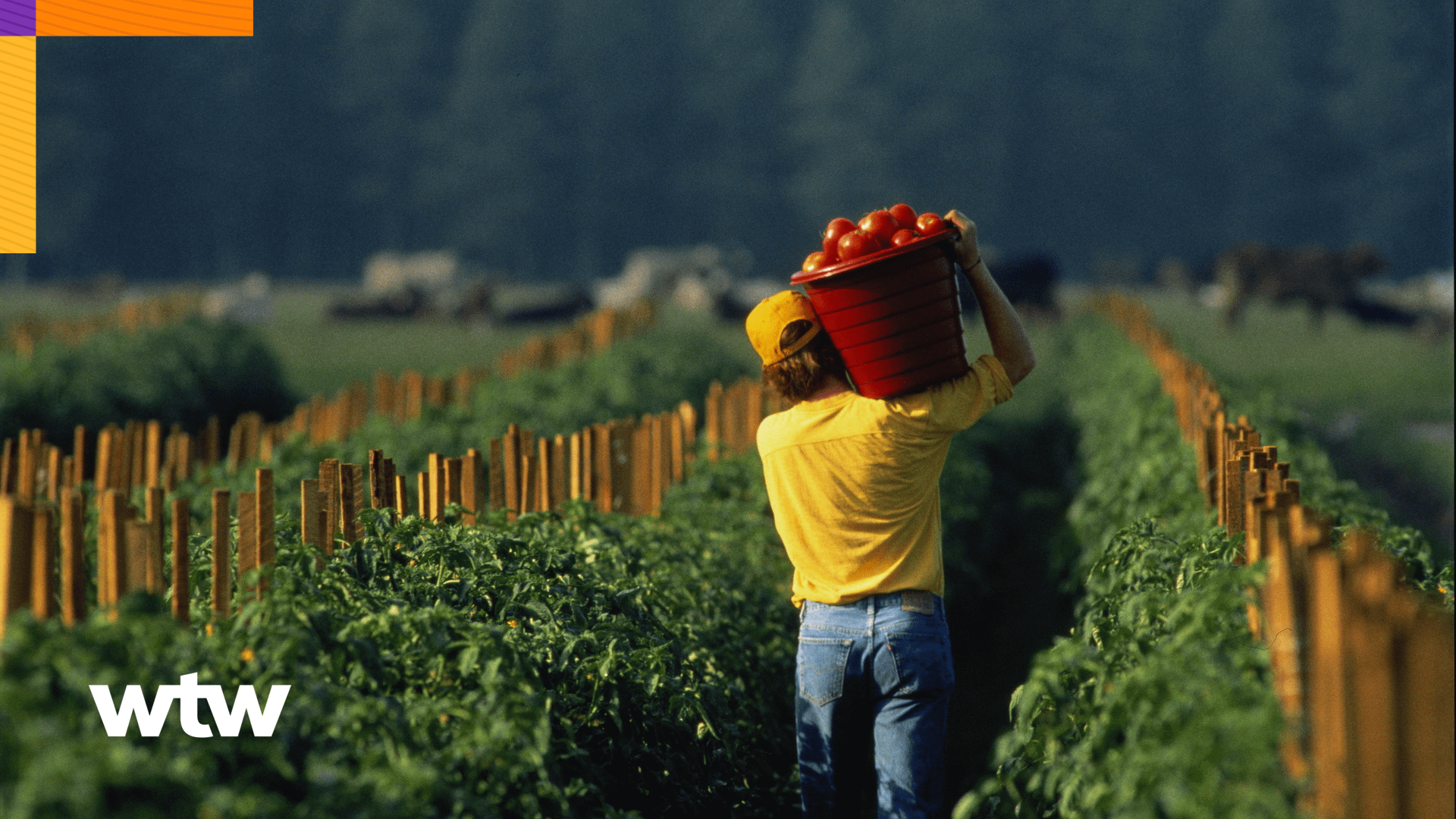 Mexico: Major planned labor measures - WTW