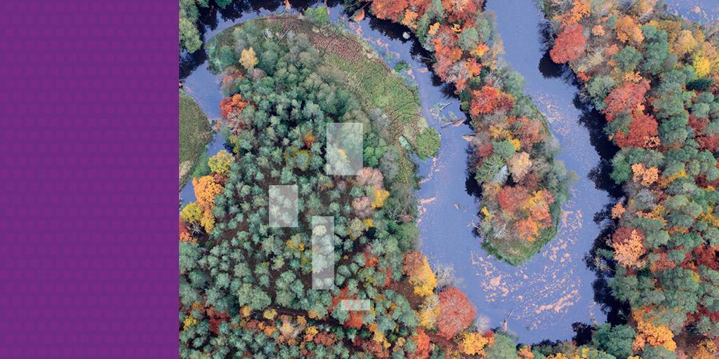 How useful are forests for natural flood management in the UK? - WTW