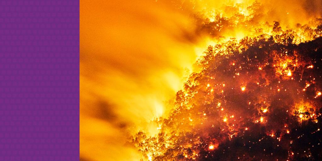 A strategic response to climate change - WTW